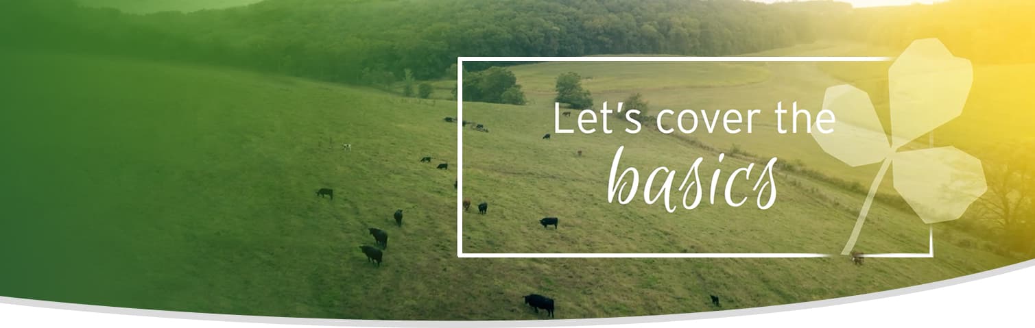 100% Grass Fed Beef | Products & Recipes | Grass Run Farms